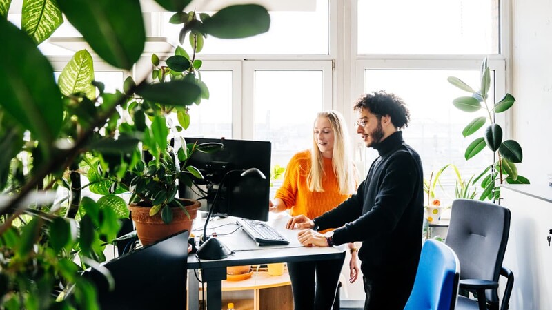 Green services: support for sustainability | Visable